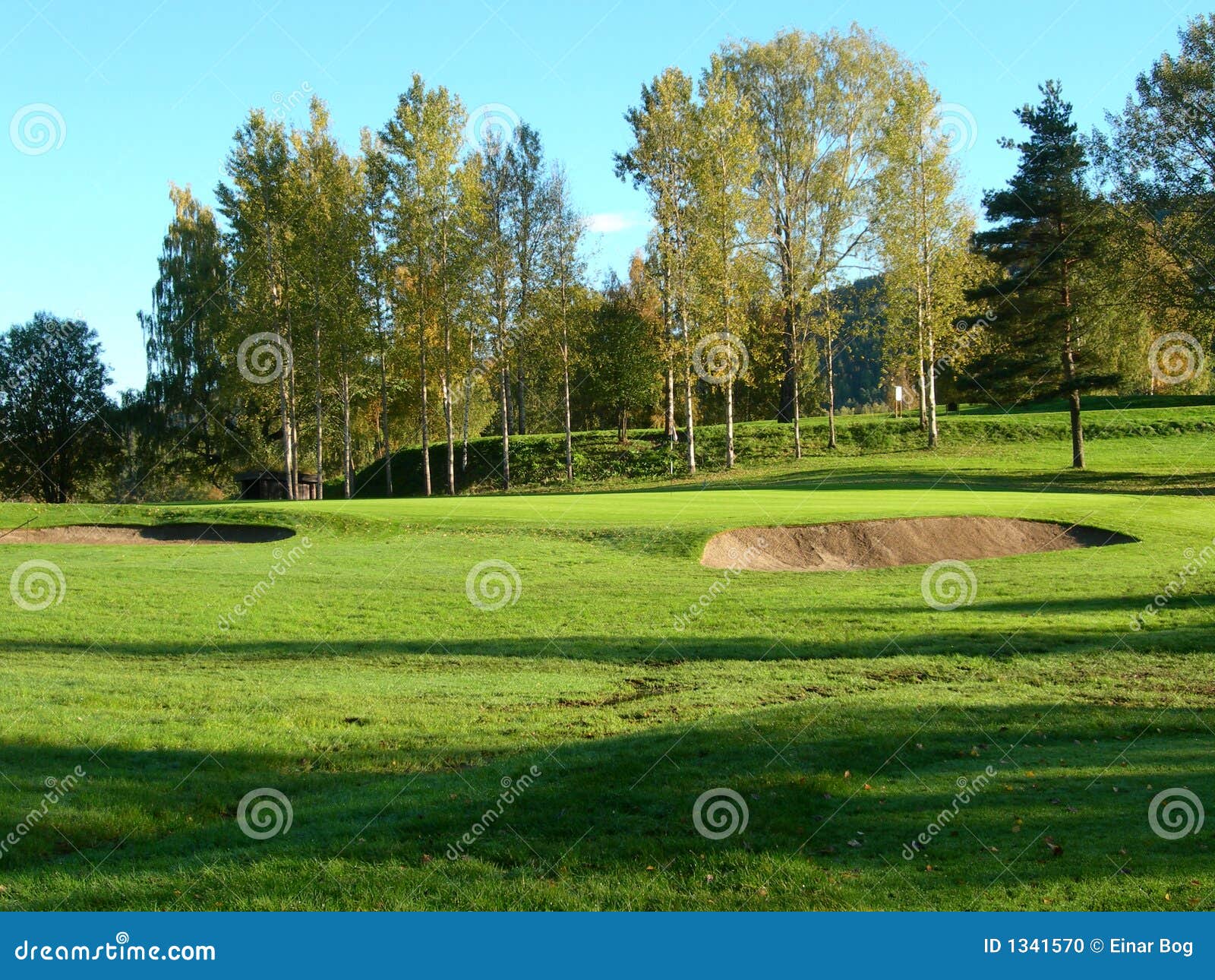 Golf stock photo. Image of golf, norway, tree, sport, forest - 1341570