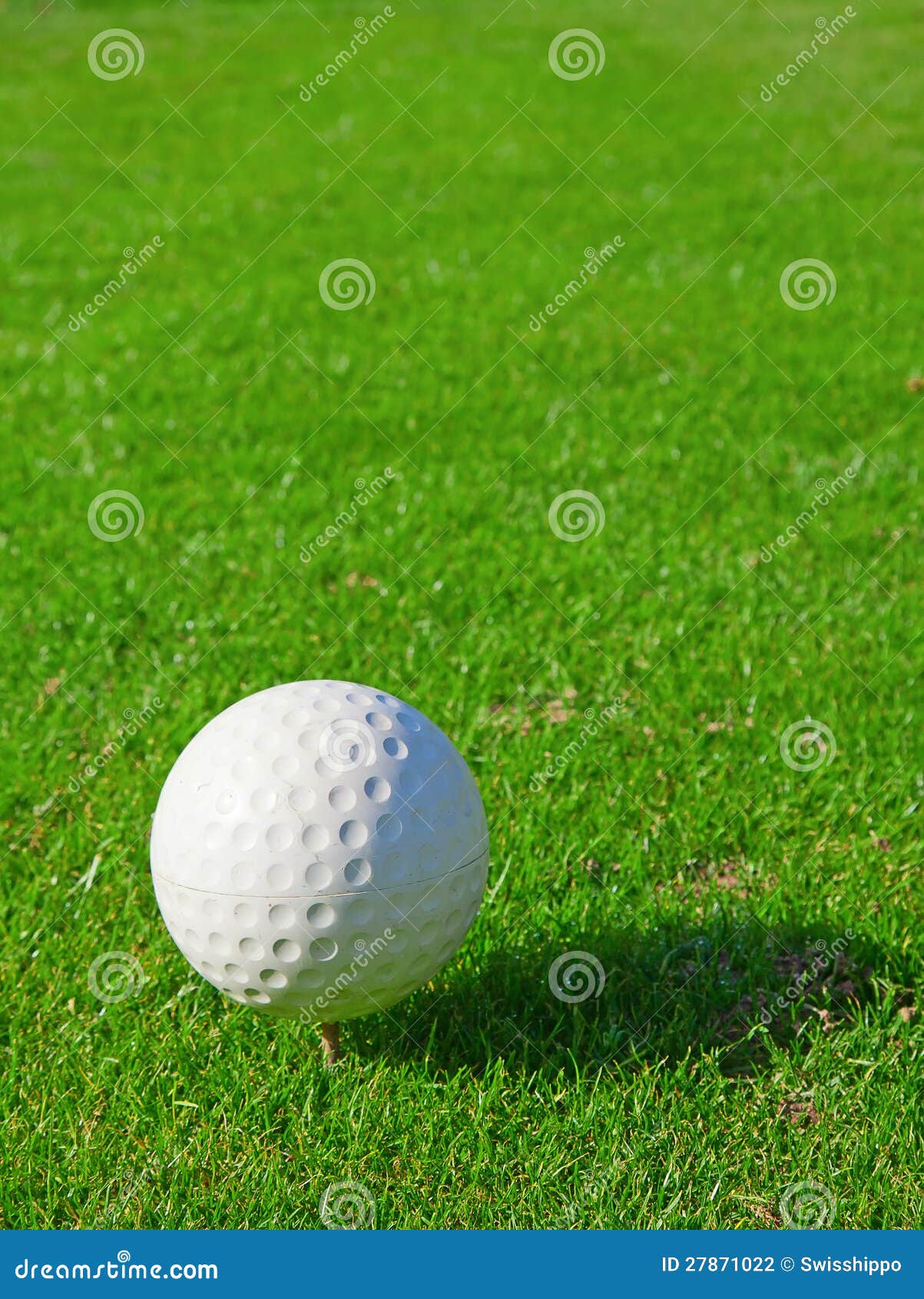 Golf stock photo. Image of exercise, golf, lawn, luxury - 27871022
