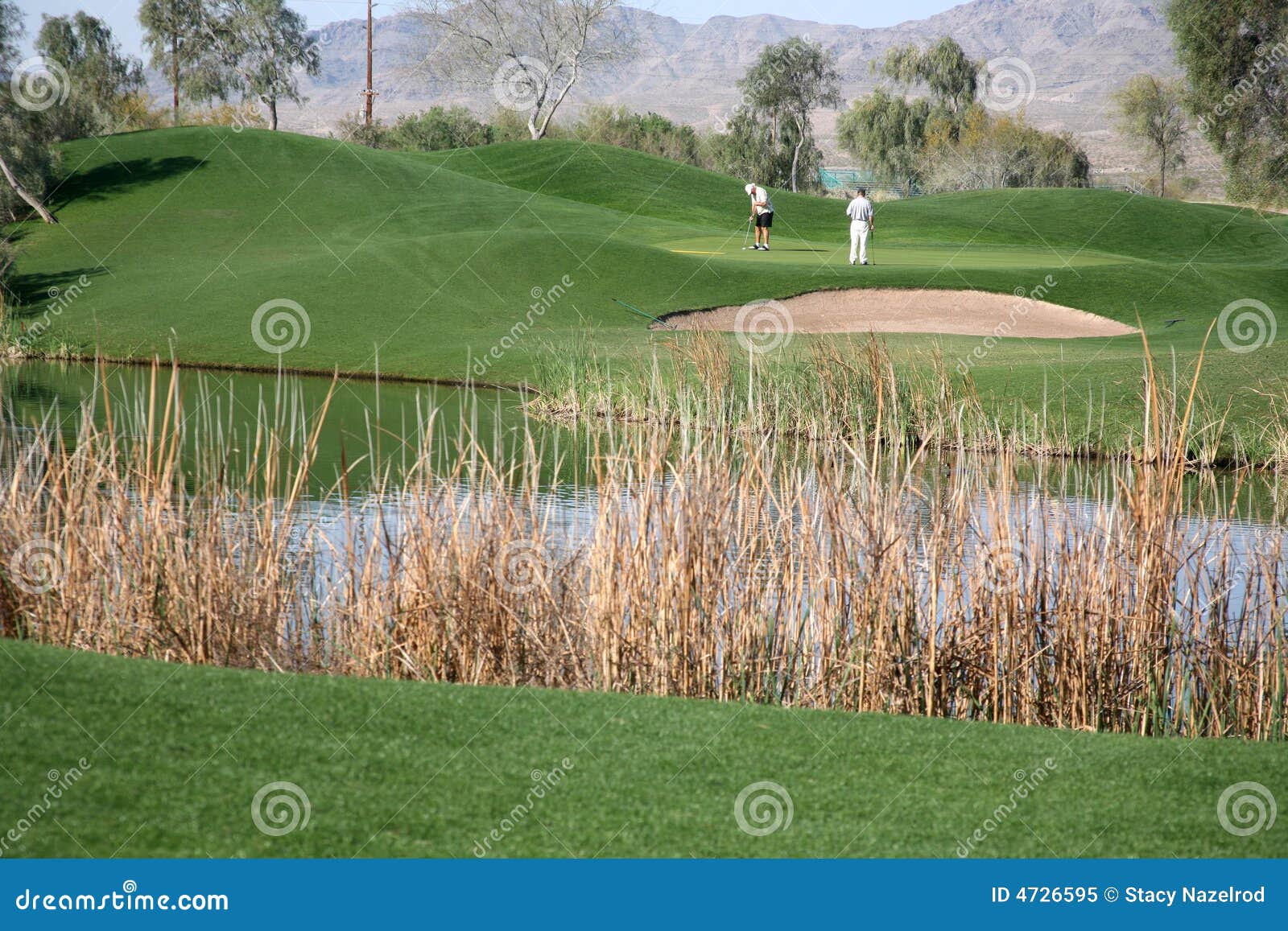 Golf stock image. Image of field, lifestyle, golfing, golfers - 4726595