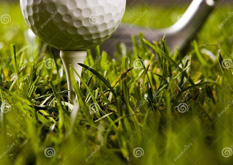 Golf stock photo. Image of golf, rough, practice, france - 6858628