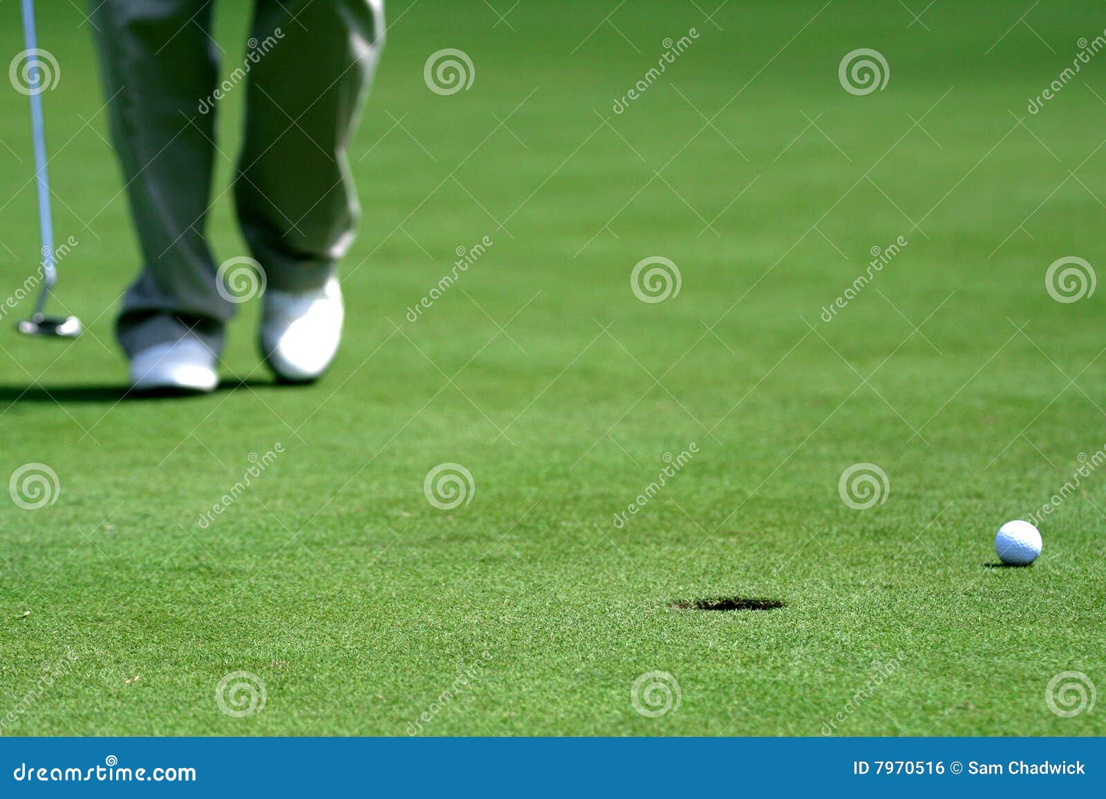 Golf stock photo. Image of golf, grass, golfing, pastime - 7970516