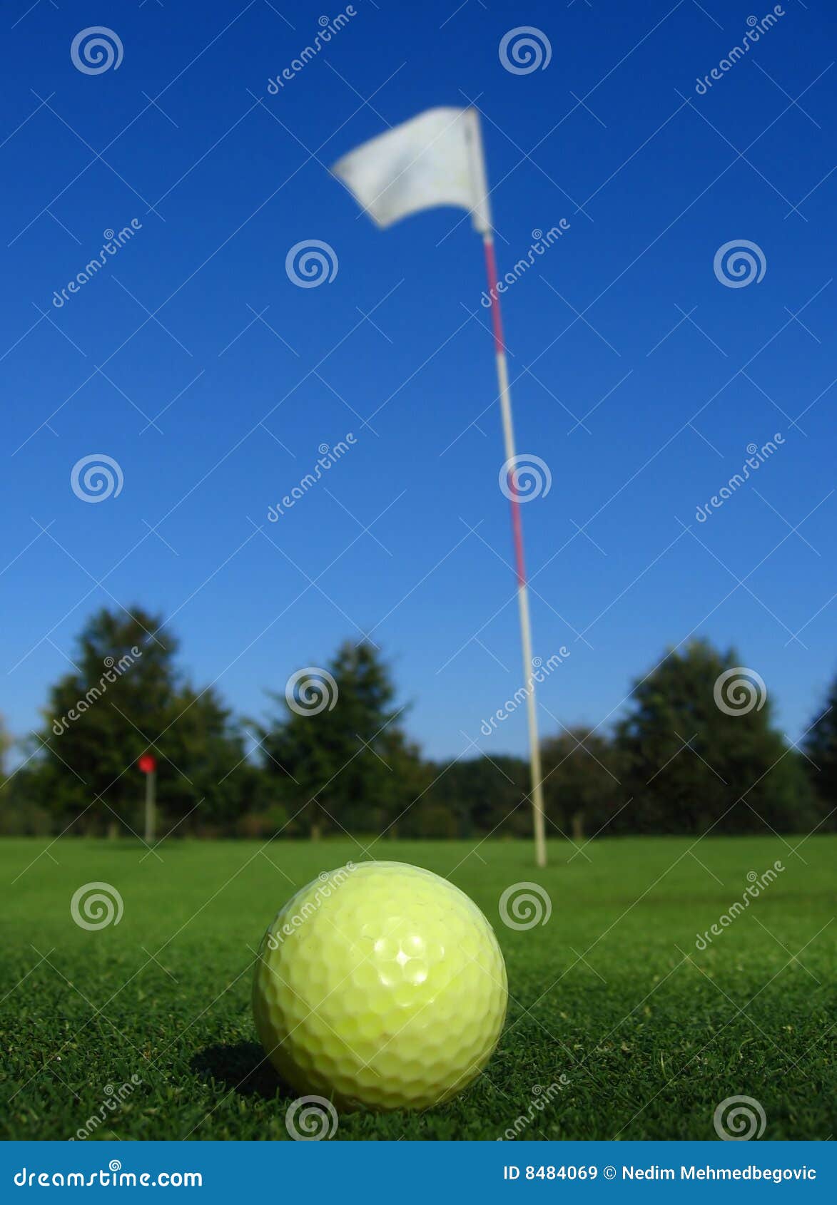 Golf stock image. Image of line, network, golf, wood, foreground - 8484069