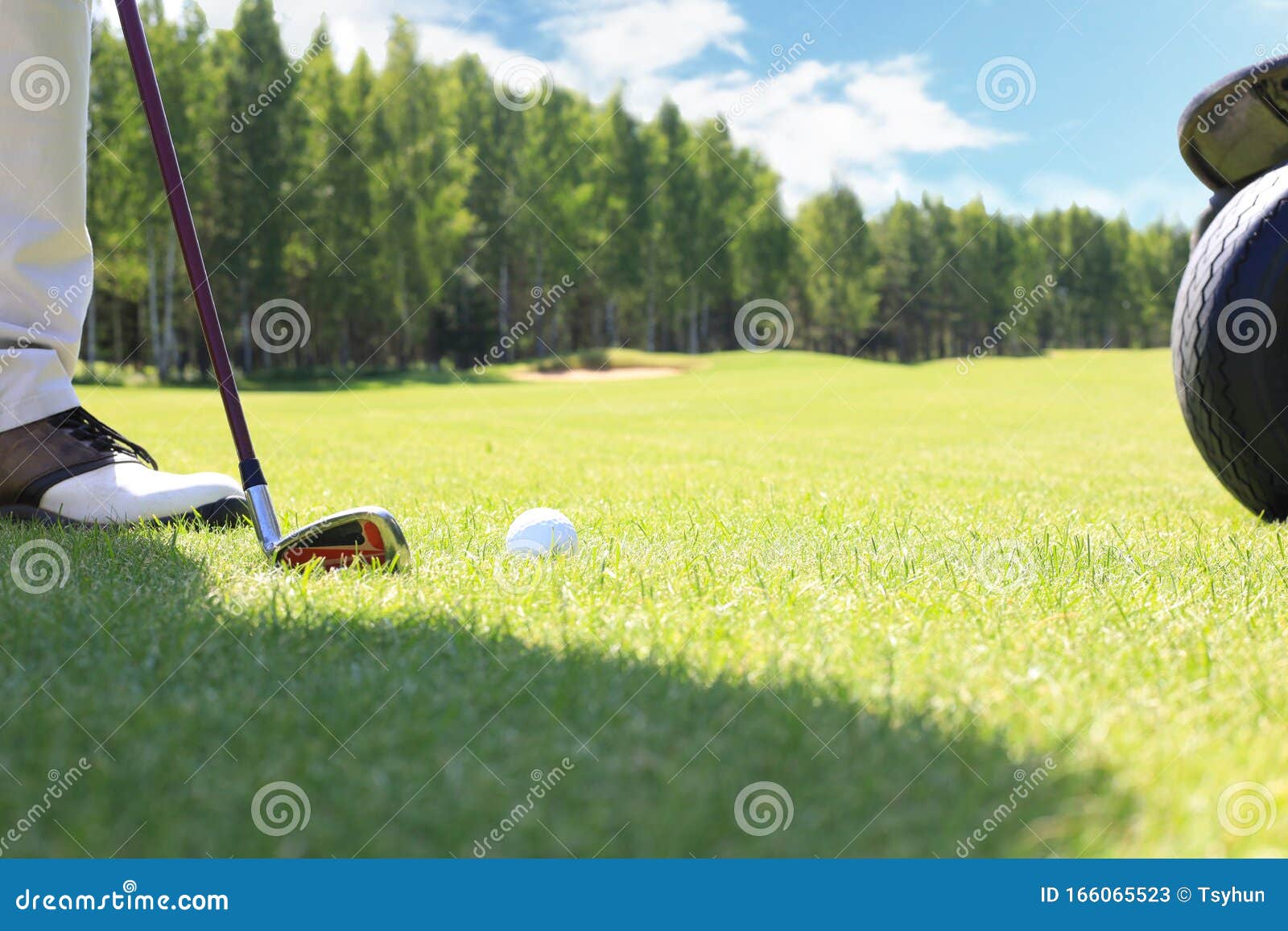 Golf Approach Shot with Iron from Fairway at Sunny Day Stock Image ...
