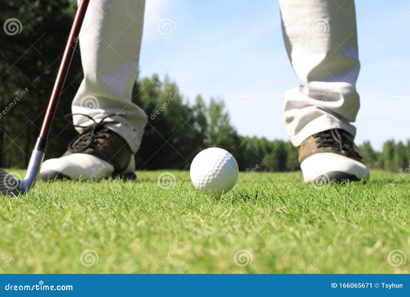 Golf Approach Shot with Iron from Fairway at Sunny Day Stock Image ...