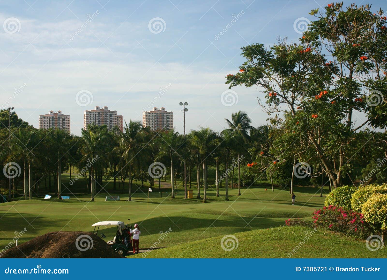 Golf Asia stock image. Image of buggy, golf, vacation - 7386721