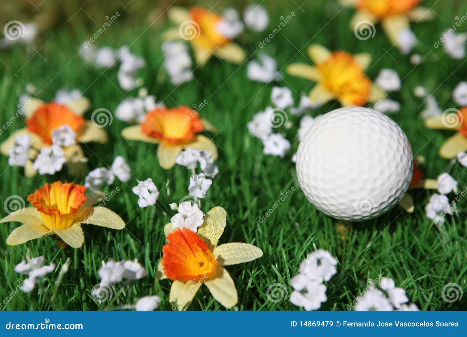 Golf ball stock image. Image of grass, flower, sport - 14869479