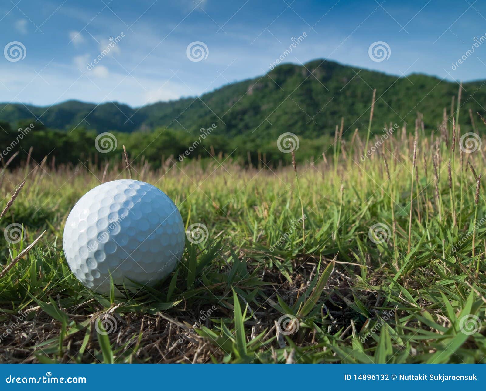 Golf ball stock photo. Image of path, activity, summer - 14896132