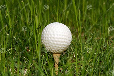 Golf Ball stock image. Image of seasonal, spring, entertainment - 716727