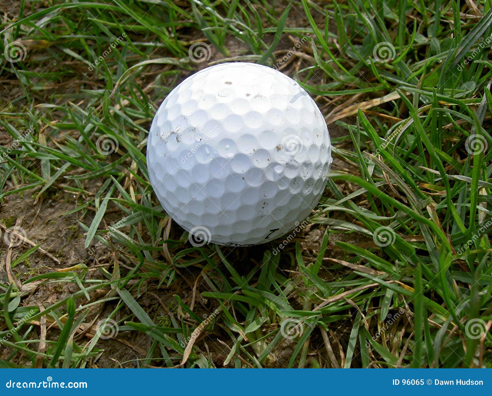 Golf Ball stock image. Image of objects, golfball, leisure - 96065