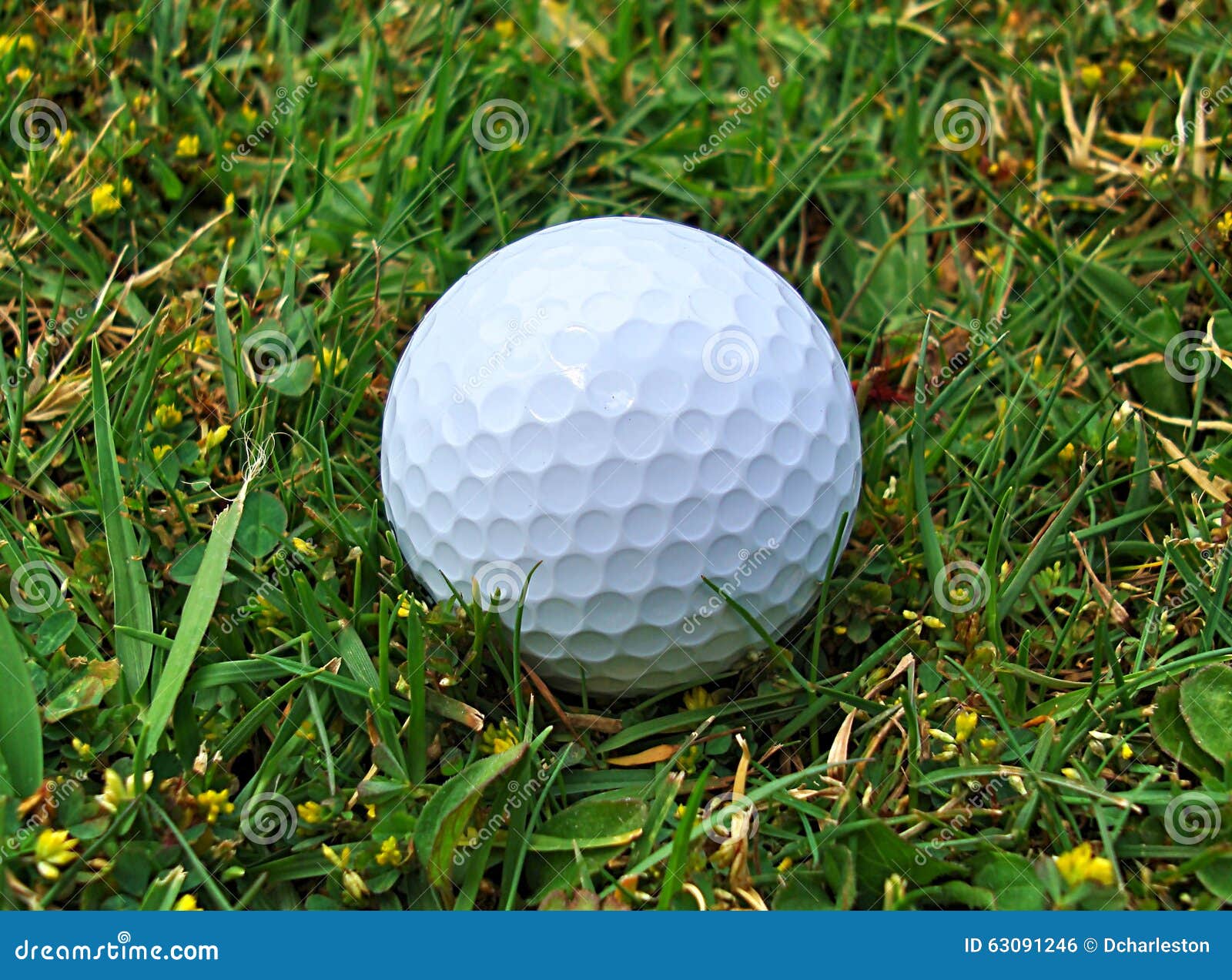 Golf Ball (close up) stock photo. Image of birdie, blank - 63091246