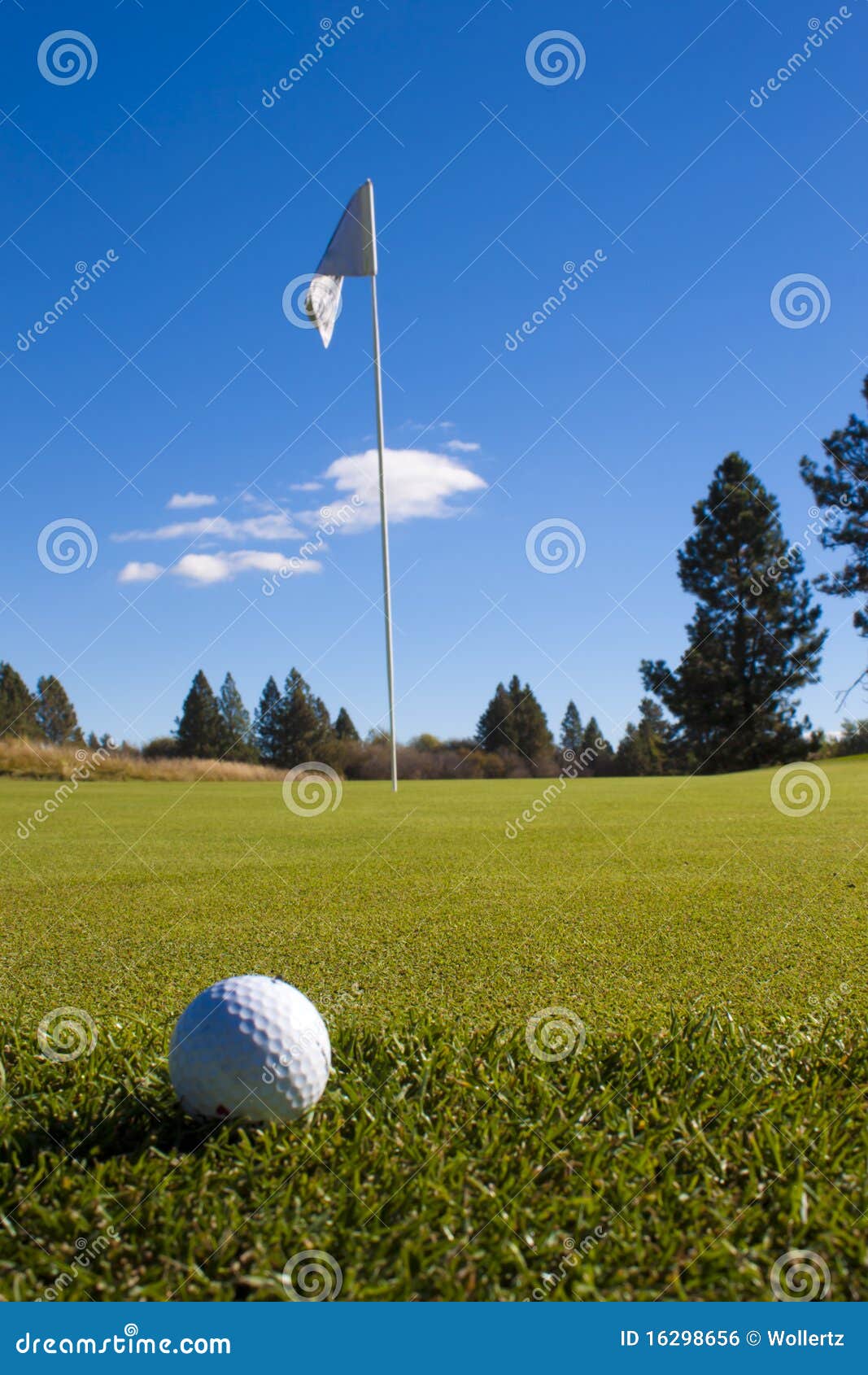 Golf Ball Closeup stock photo. Image of grass, golfing - 16298656