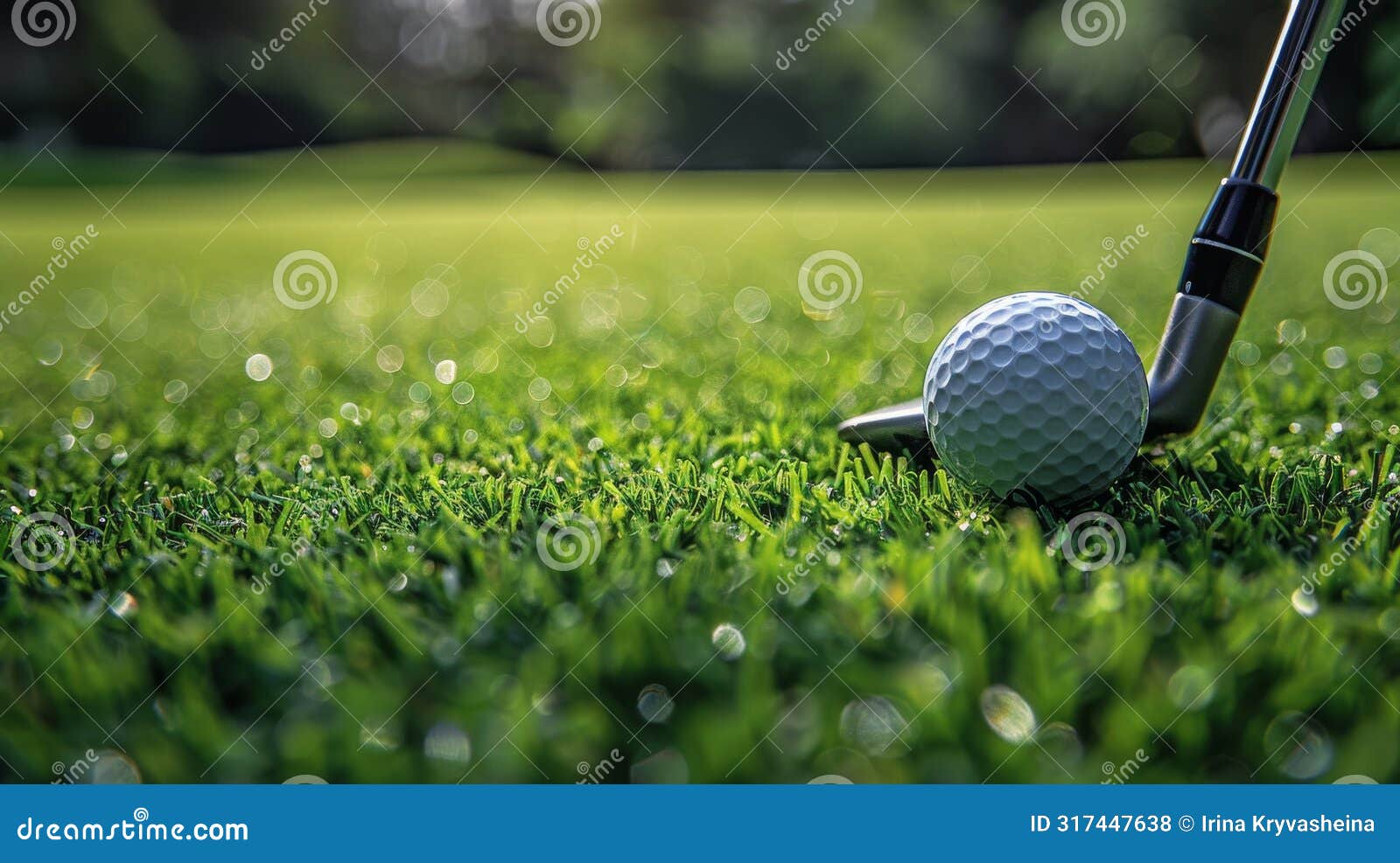 Golf Ball and Golf Club in the Grass Stock Photo - Image of training ...