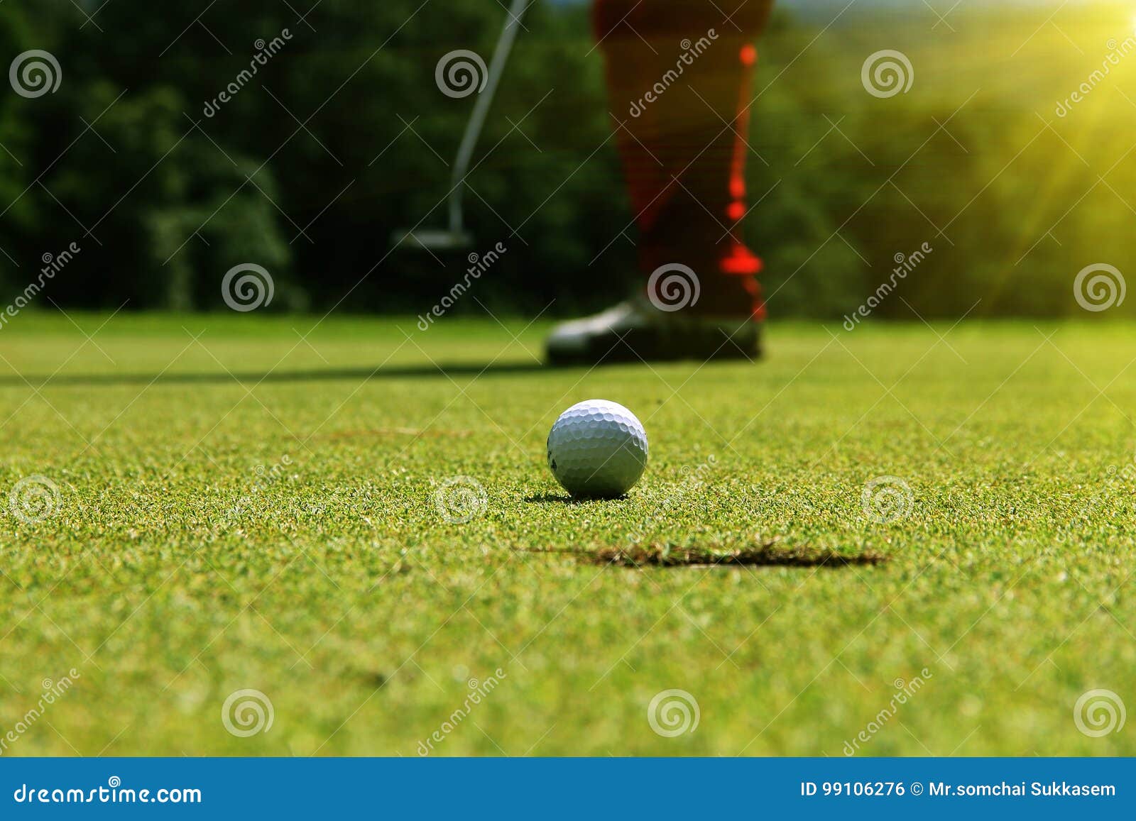 Golf ball in golf course stock photo. Image of club, andg - 99106276