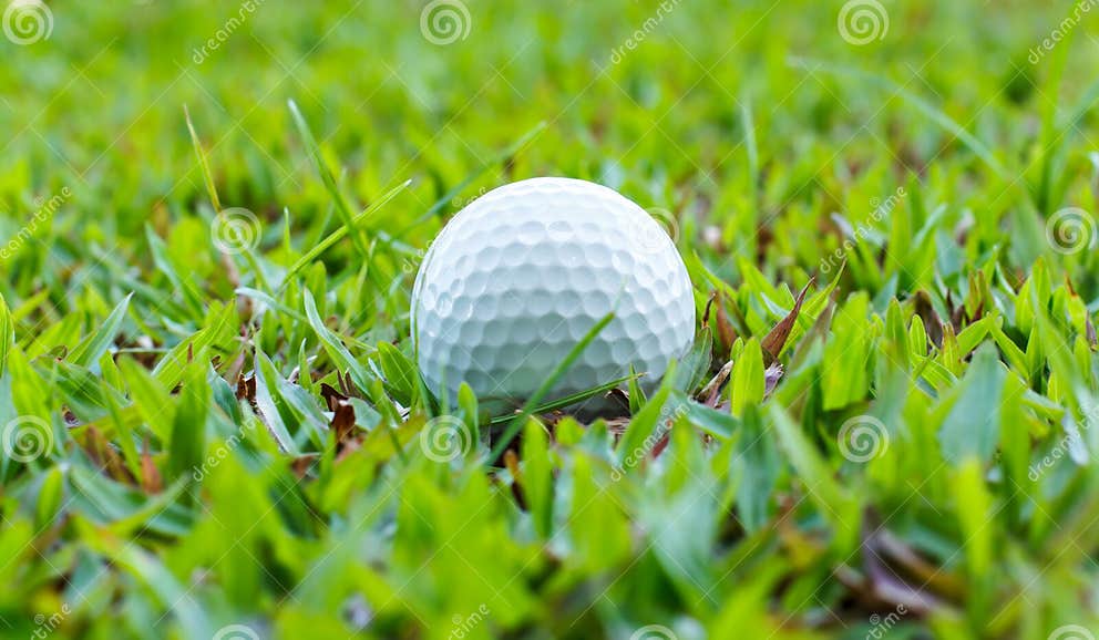 Golf-ball on course stock image. Image of exercise, golf - 39088245