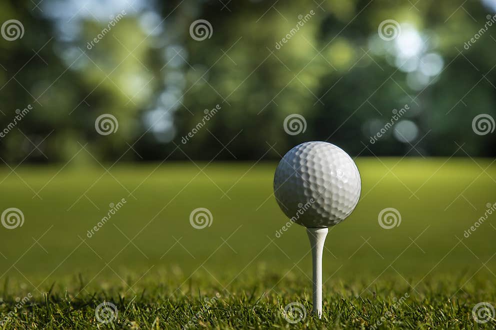 Golf Ball on the Golf Course Stock Image - Image of leisure, nature ...