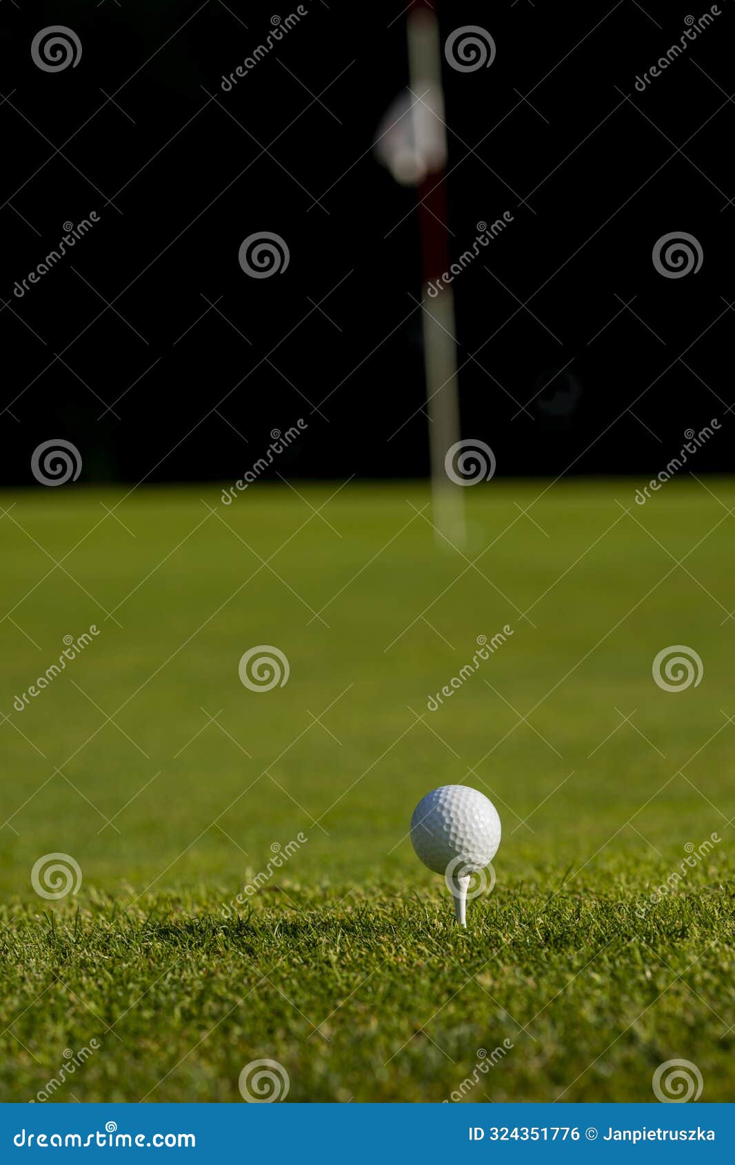 Golf Ball on the Golf Course Stock Photo - Image of activity, ball ...