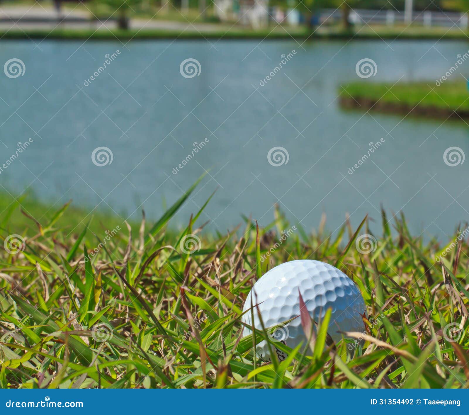 Golf-ball on course stock photo. Image of field, sport - 31354492