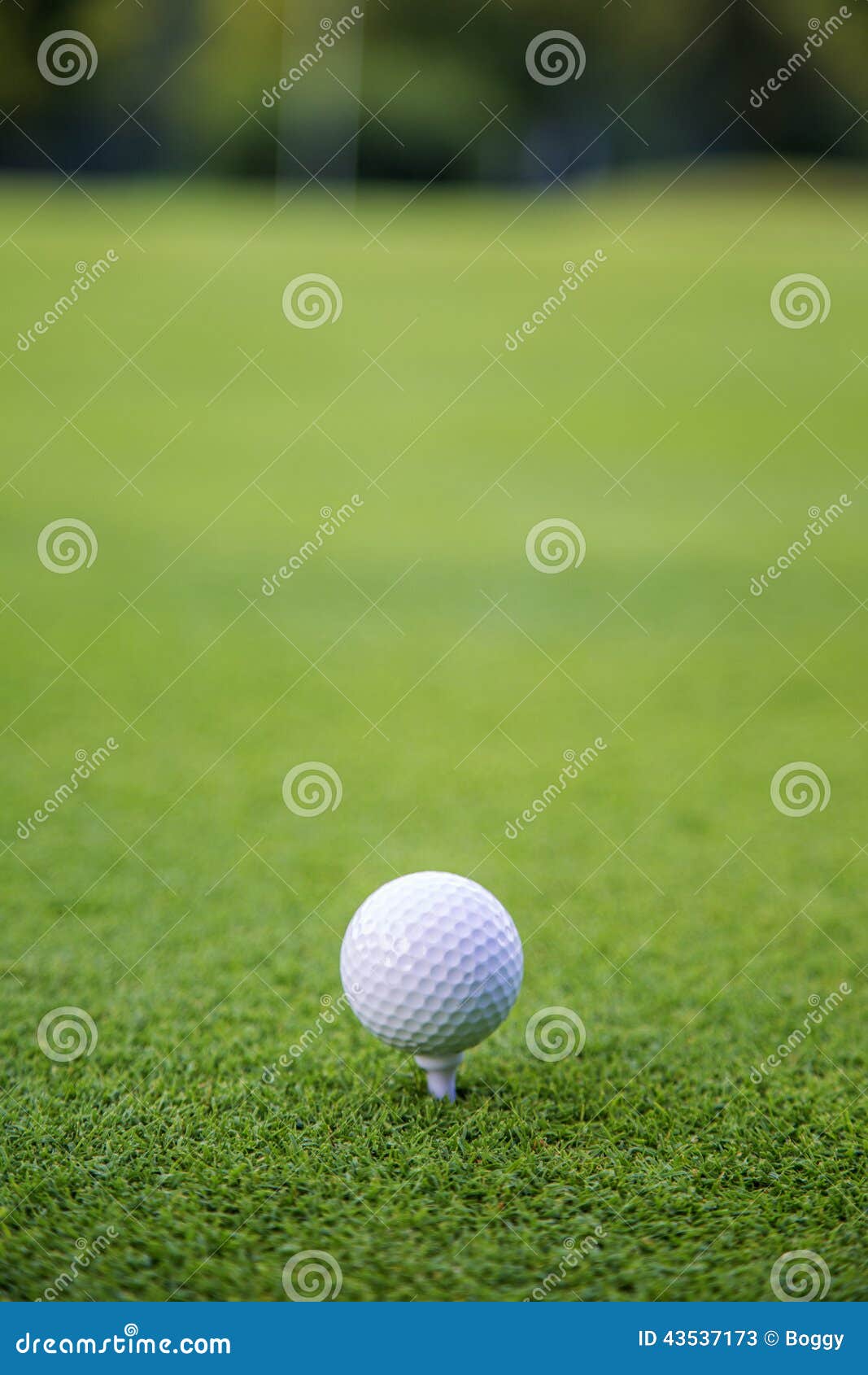 Golf ball stock image. Image of ground, leisure, competition - 43537173
