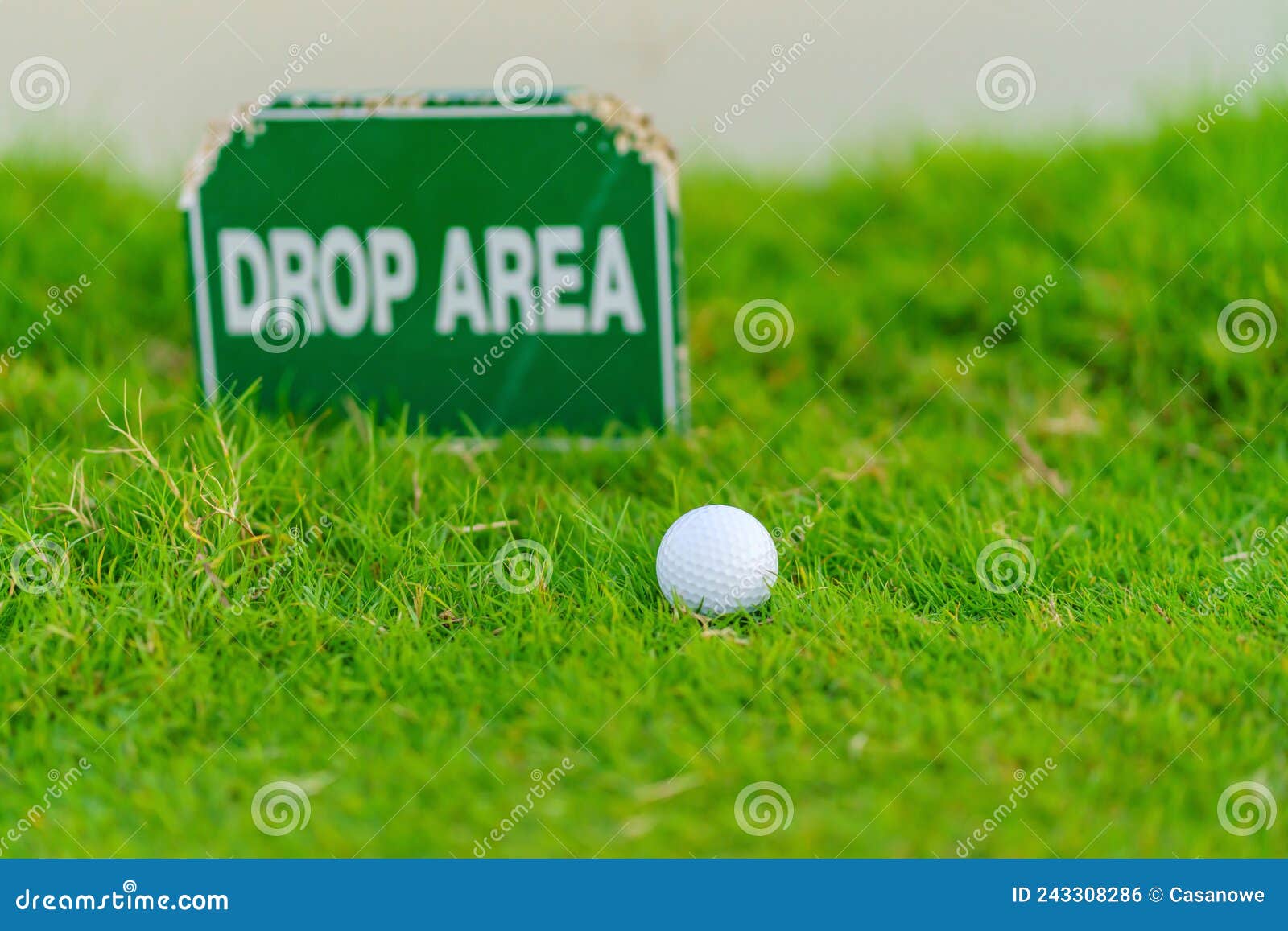 Golf Ball on Drop Area Golf Sign at Golf Course Stock Photo - Image of ...