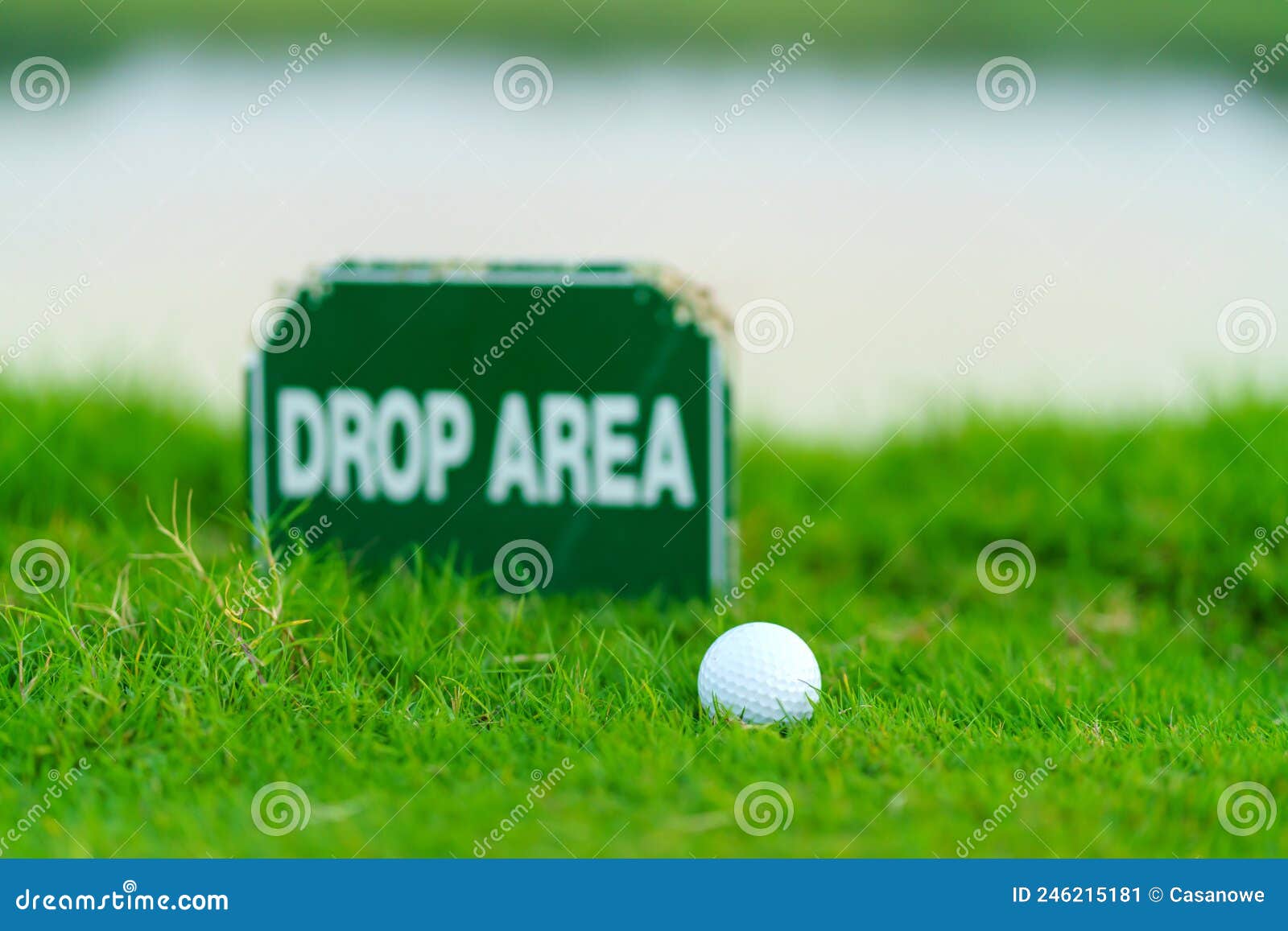 Golf Ball on Drop Area Golf Sign at Golf Course Stock Image - Image of ...