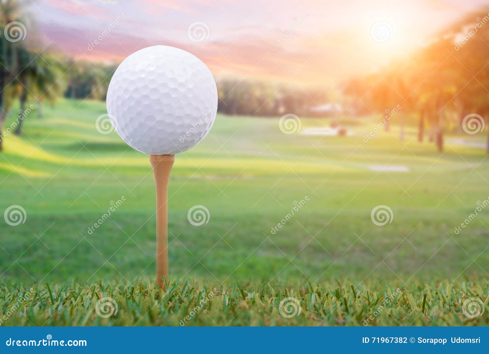 Golf ball in field stock photo. Image of play, natural - 71967382