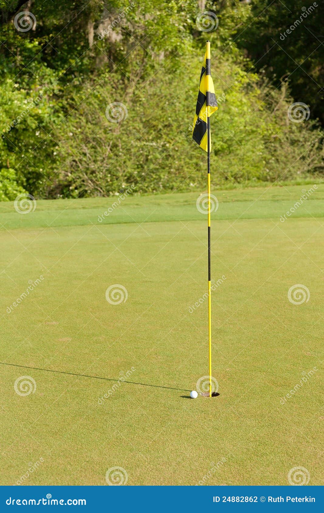 Golf Ball and Flag on Green Stock Photo - Image of pole, wilderness ...