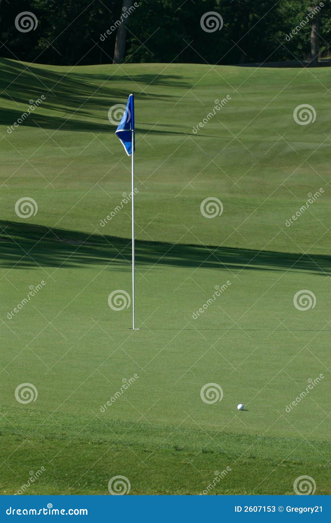 Golf Ball and Flag on Green Stock Image - Image of sport, flag: 2607153