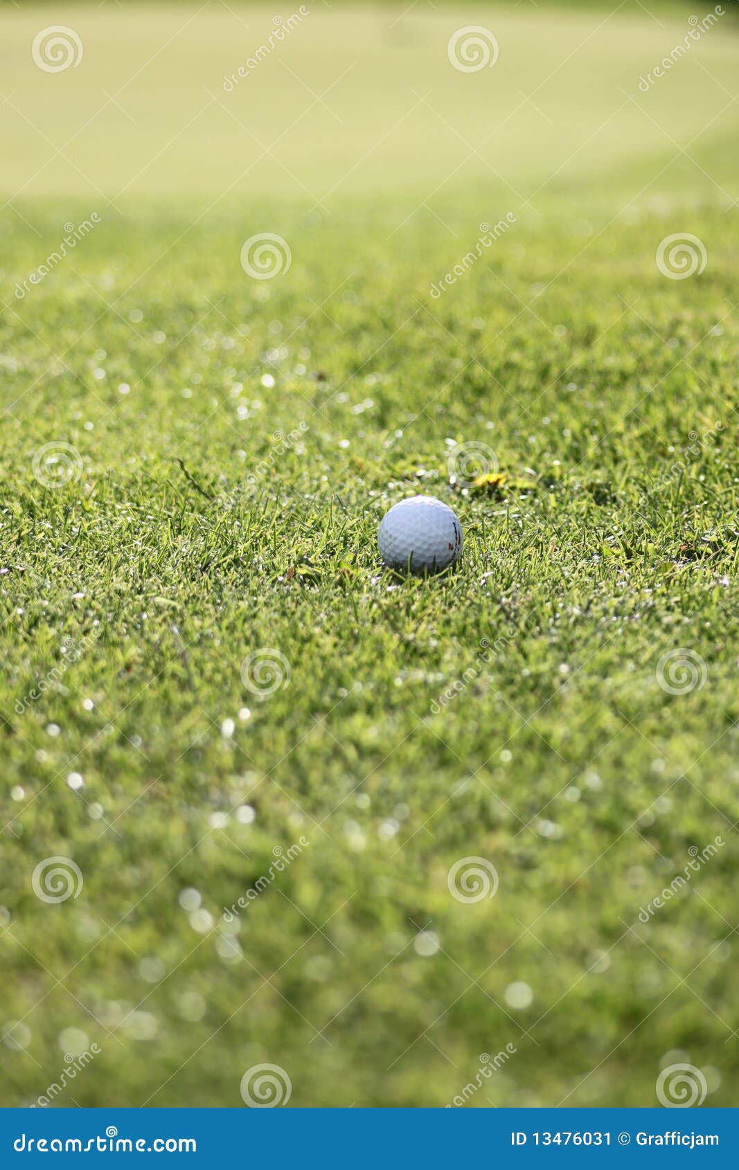 Golf Ball on Fringe stock image. Image of fringe, green - 13476031