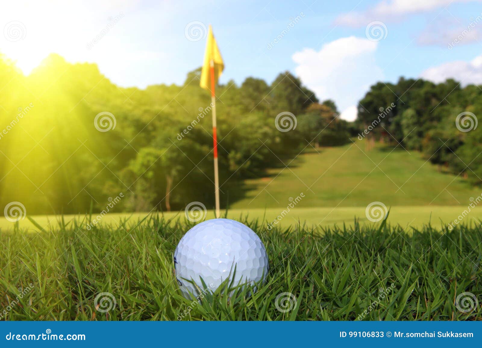 Golf ball in golf course stock image. Image of andg, exercise - 99106833