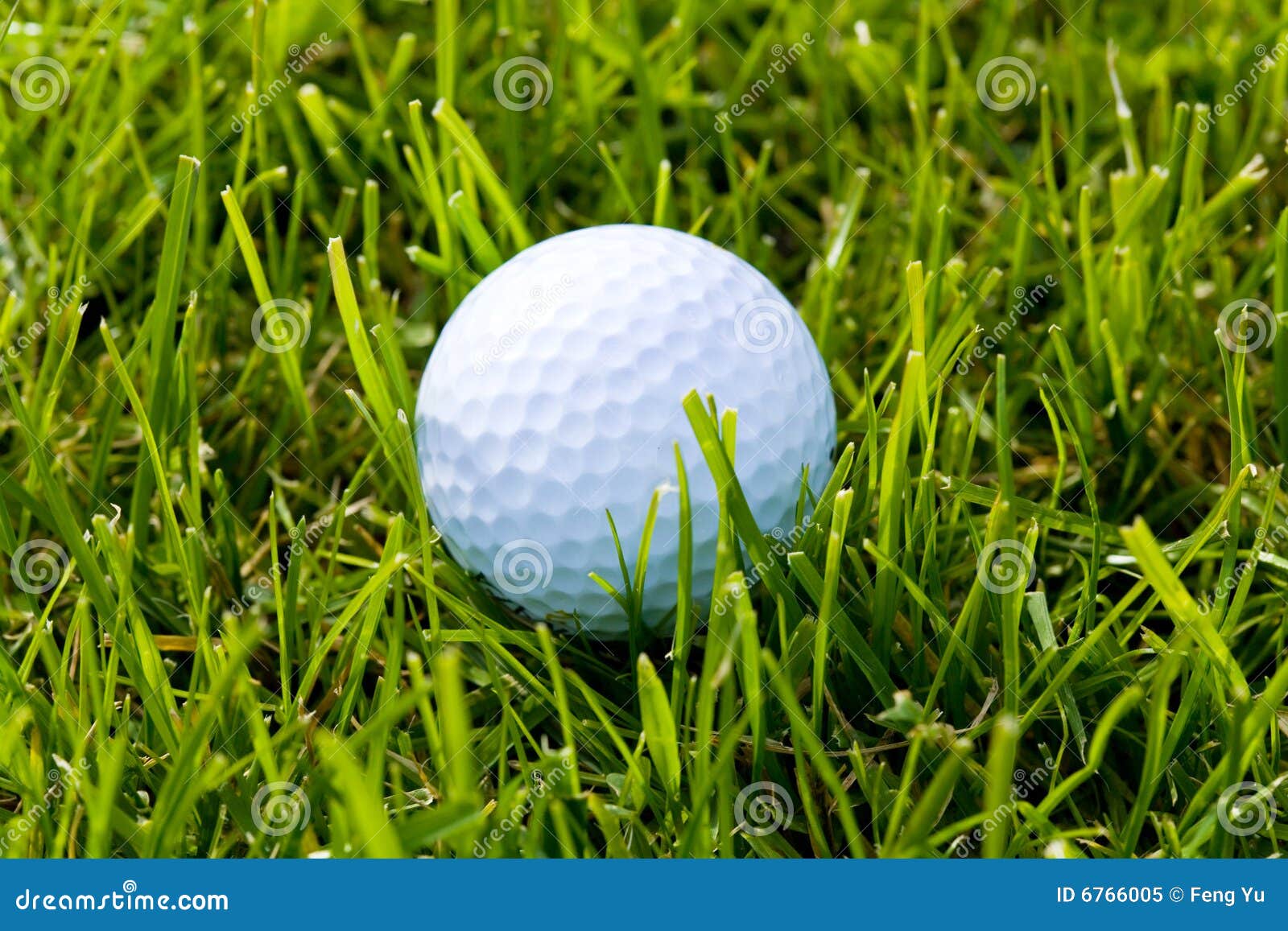 Golf Ball and Grass stock image. Image of close, white - 6766005