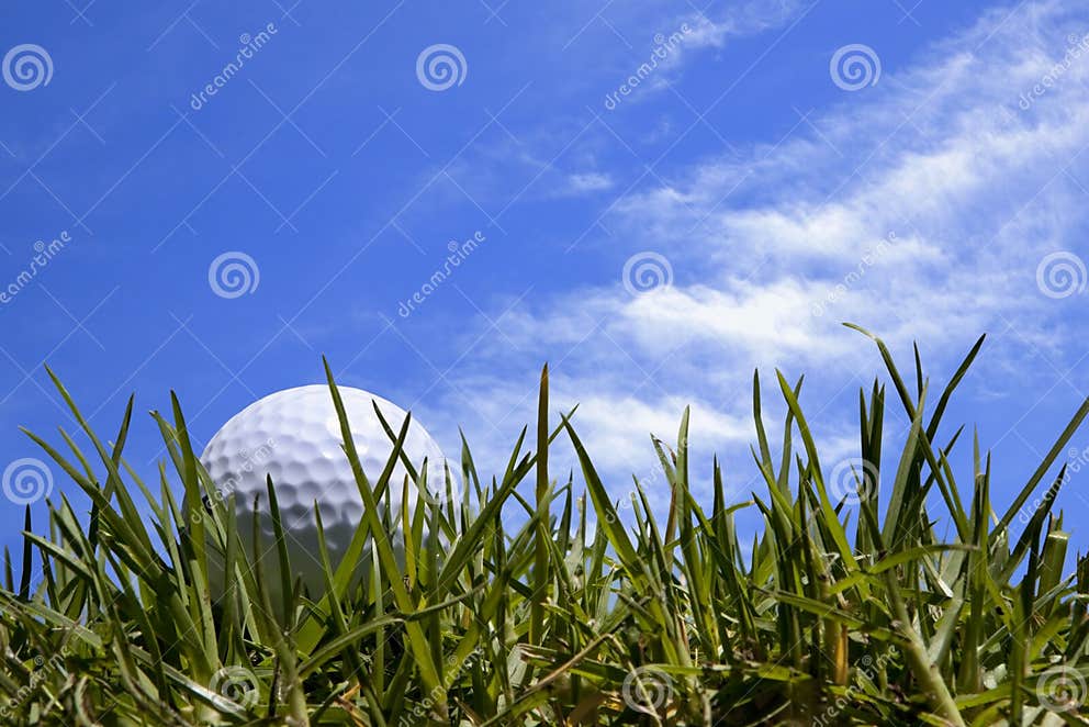 Golf Ball in Grass with Blue Sky Stock Image - Image of sunny, sunshine ...