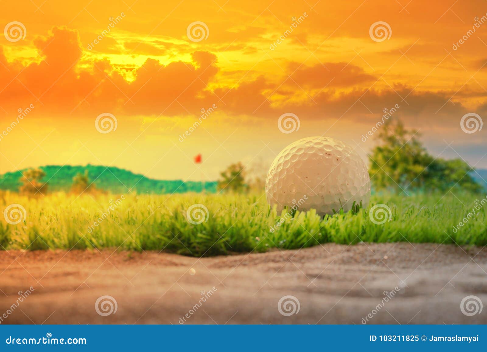 Golf Ball on Grass Close Sand Bunker in the Evening and Light Sunset ...