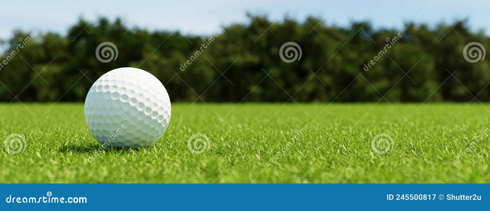 Golf Ball On Grass In Fairway Green Background Banner For Advertising With Copy Space Sport