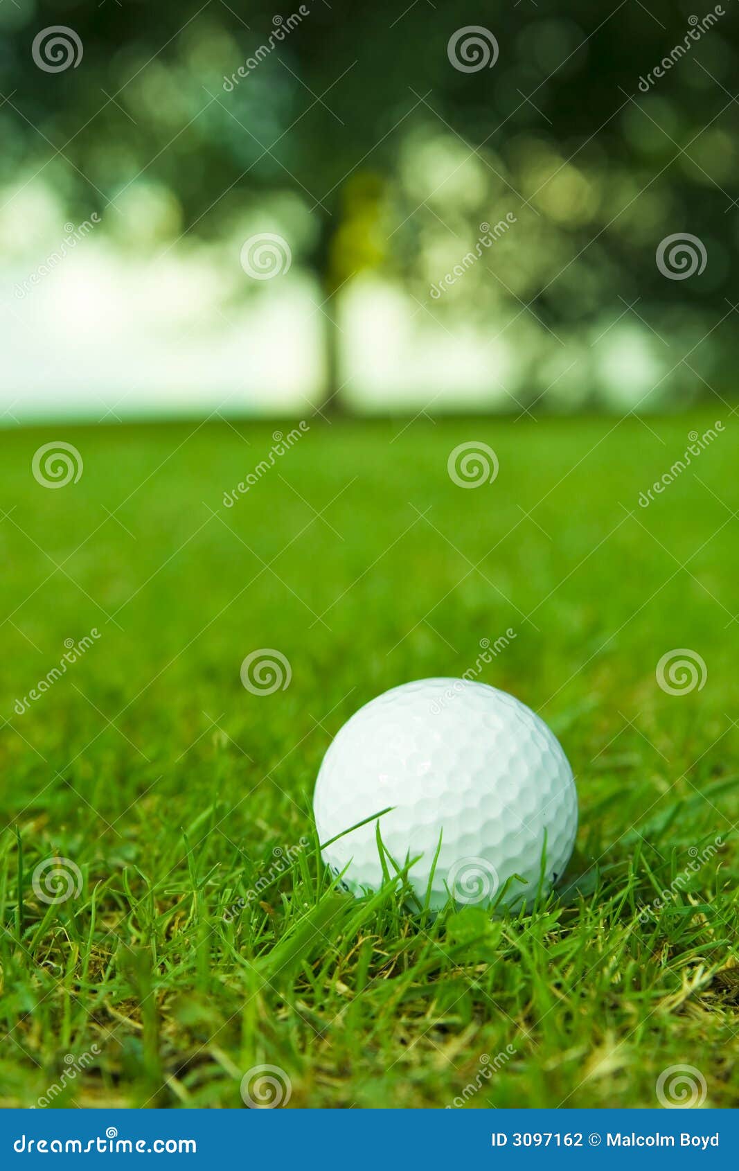 Golf ball on green fairway stock photo. Image of golf - 3097162