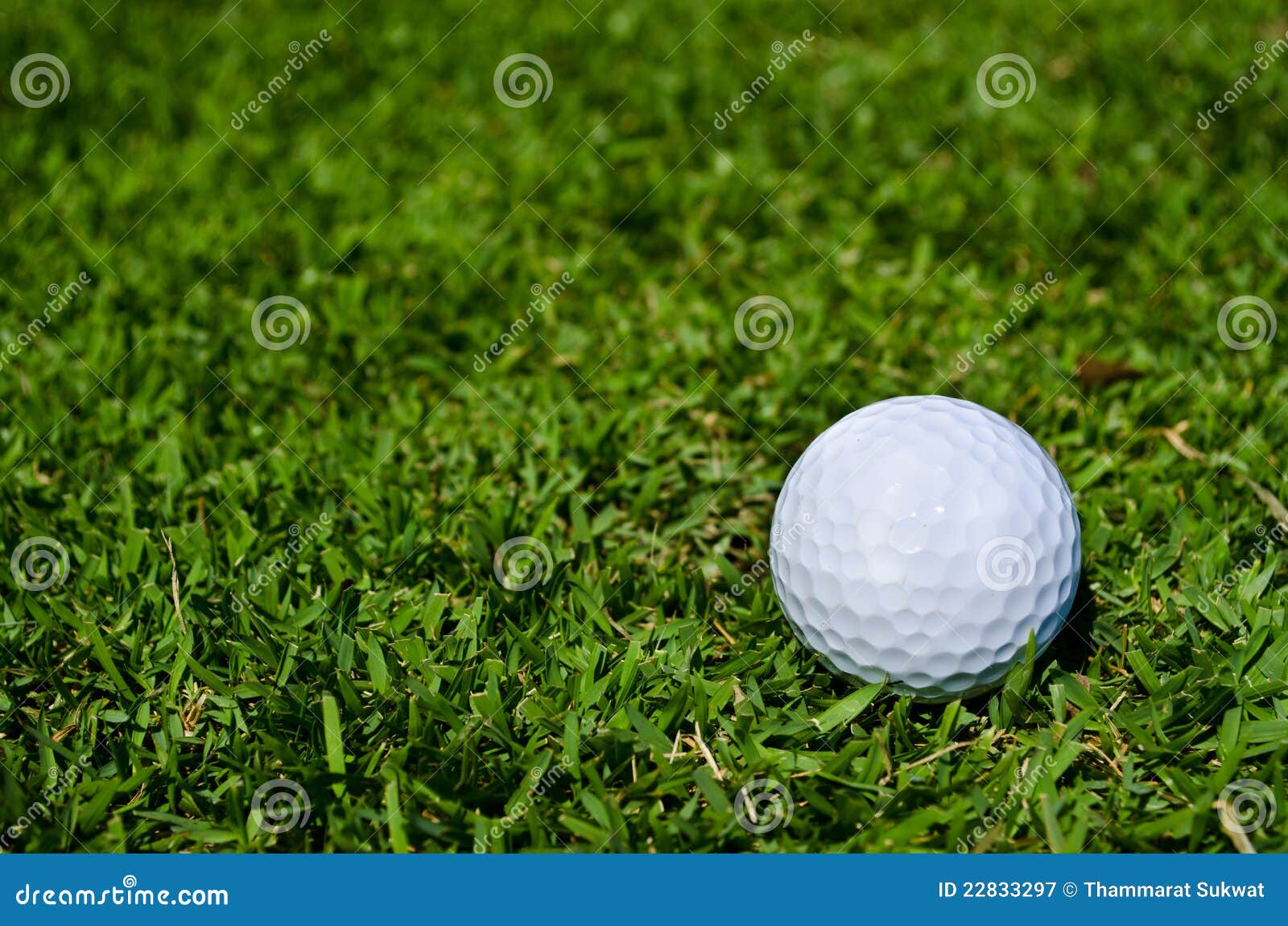 A golf ball on green field stock image. Image of field - 22833297
