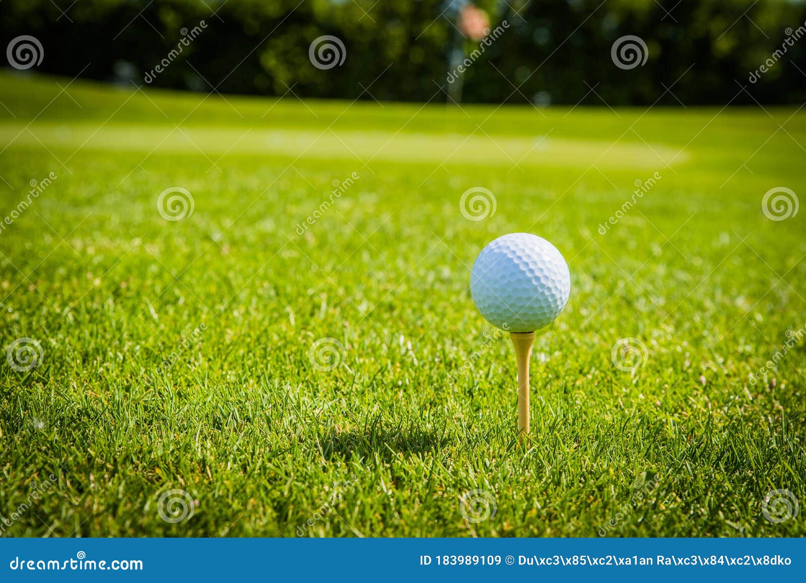 Golf Ball on Golf Green Grass Natural Fairway Stock Image - Image of ...