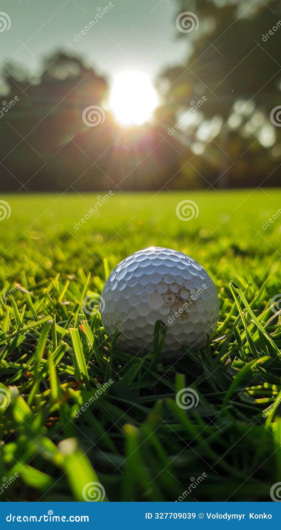 Golf Ball on Green Grass with Sun Flare Stock Image - Image of field ...