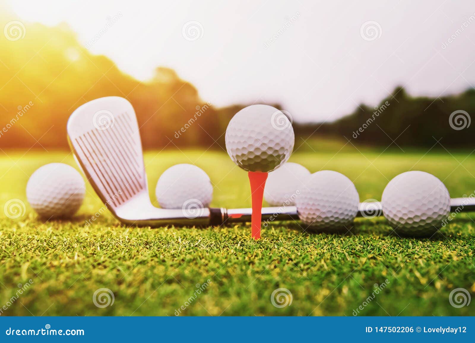 Golf Ball on Green Grass with Sunset Stock Photo - Image of lifestyle ...