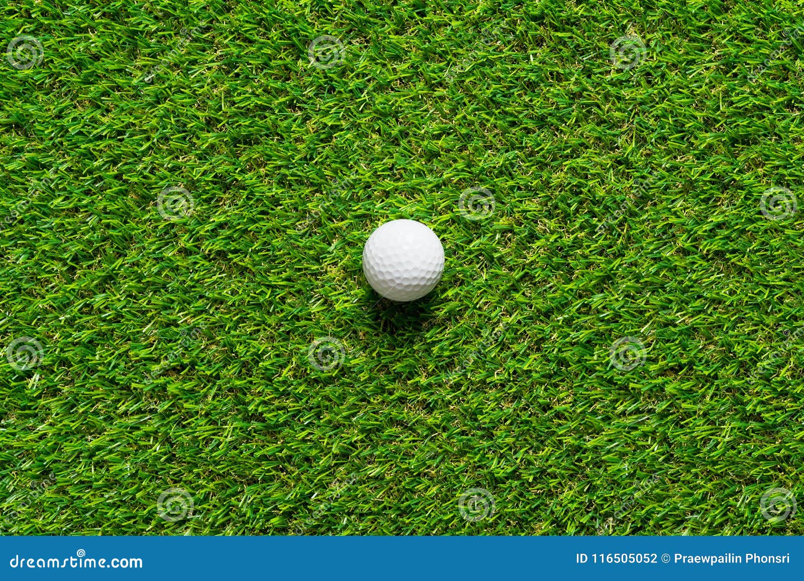 Golf Ball On Green Grass Texture Of Golf Course For Background. Royalty ...