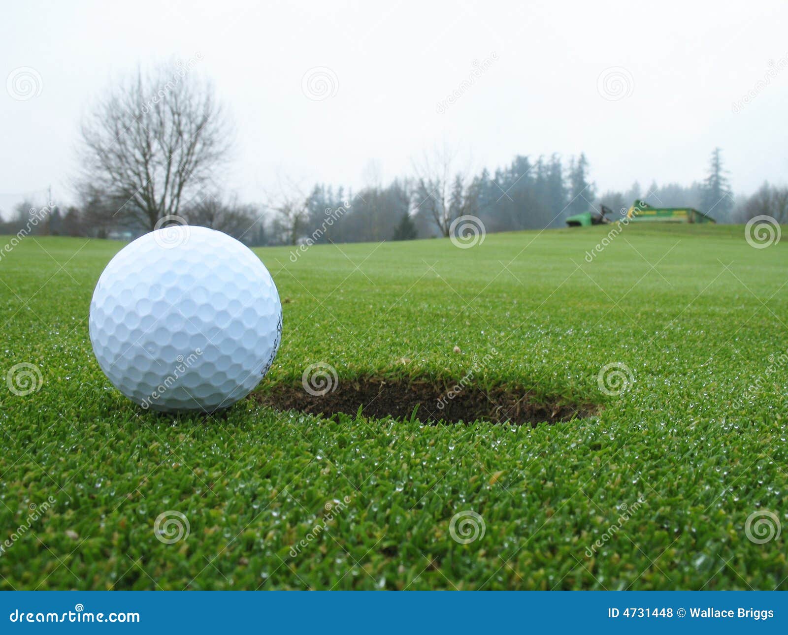 Golf ball beside hole stock photo. Image of enjoyment - 4731448