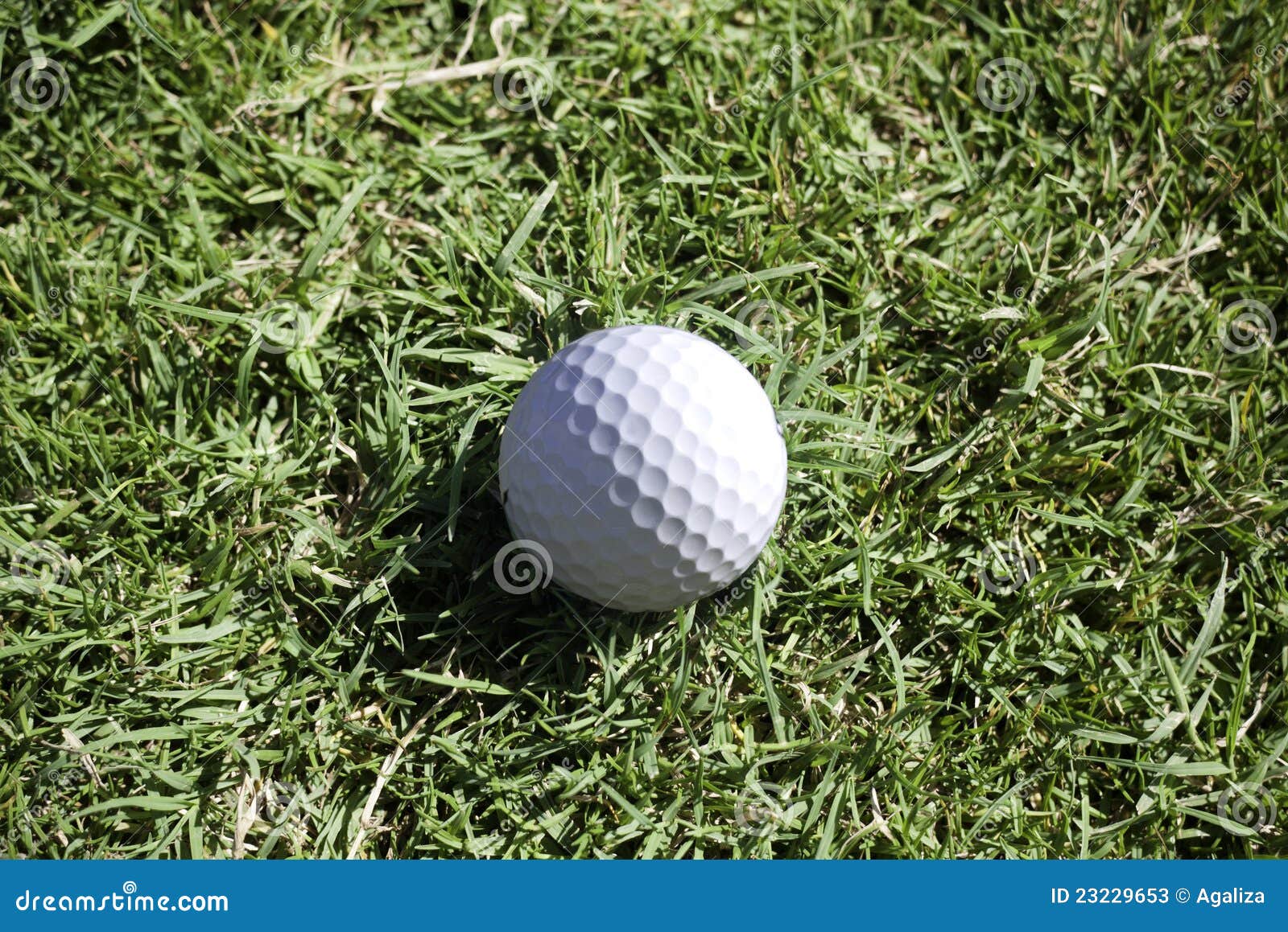 Golf Ball Lies in Long Grass in the Rough Stock Image - Image of clubs ...
