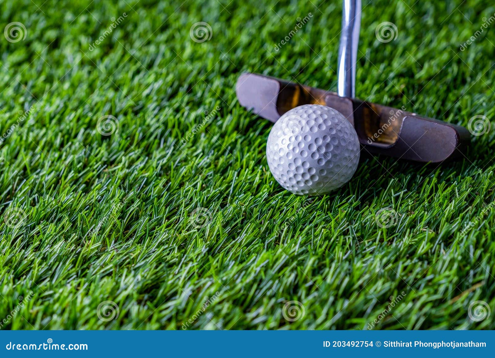 Golf Ball with Putter on Green Grass Stock Photo - Image of golfer ...