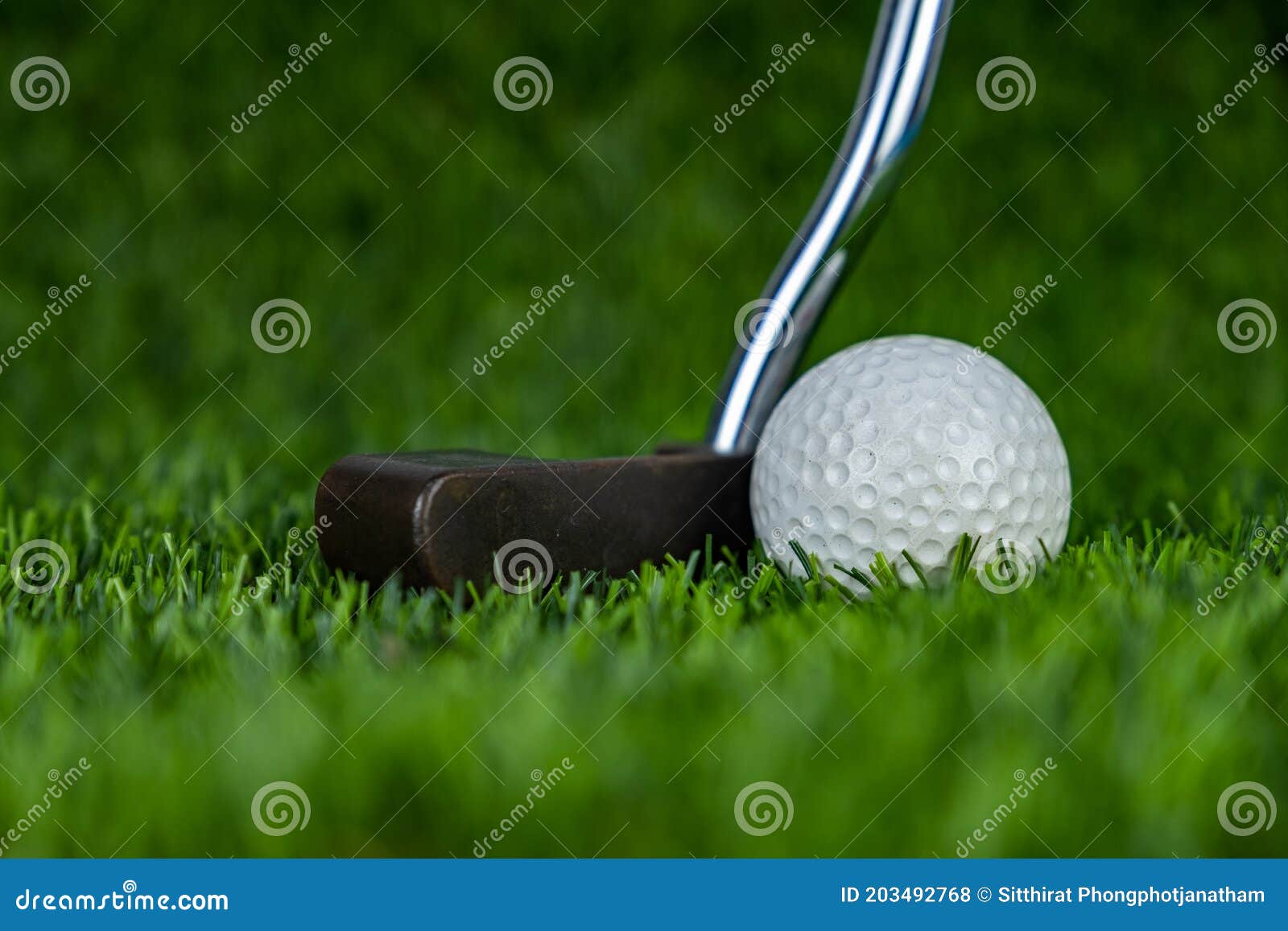 Golf Ball with Putter on Green Grass Stock Photo - Image of golf ...