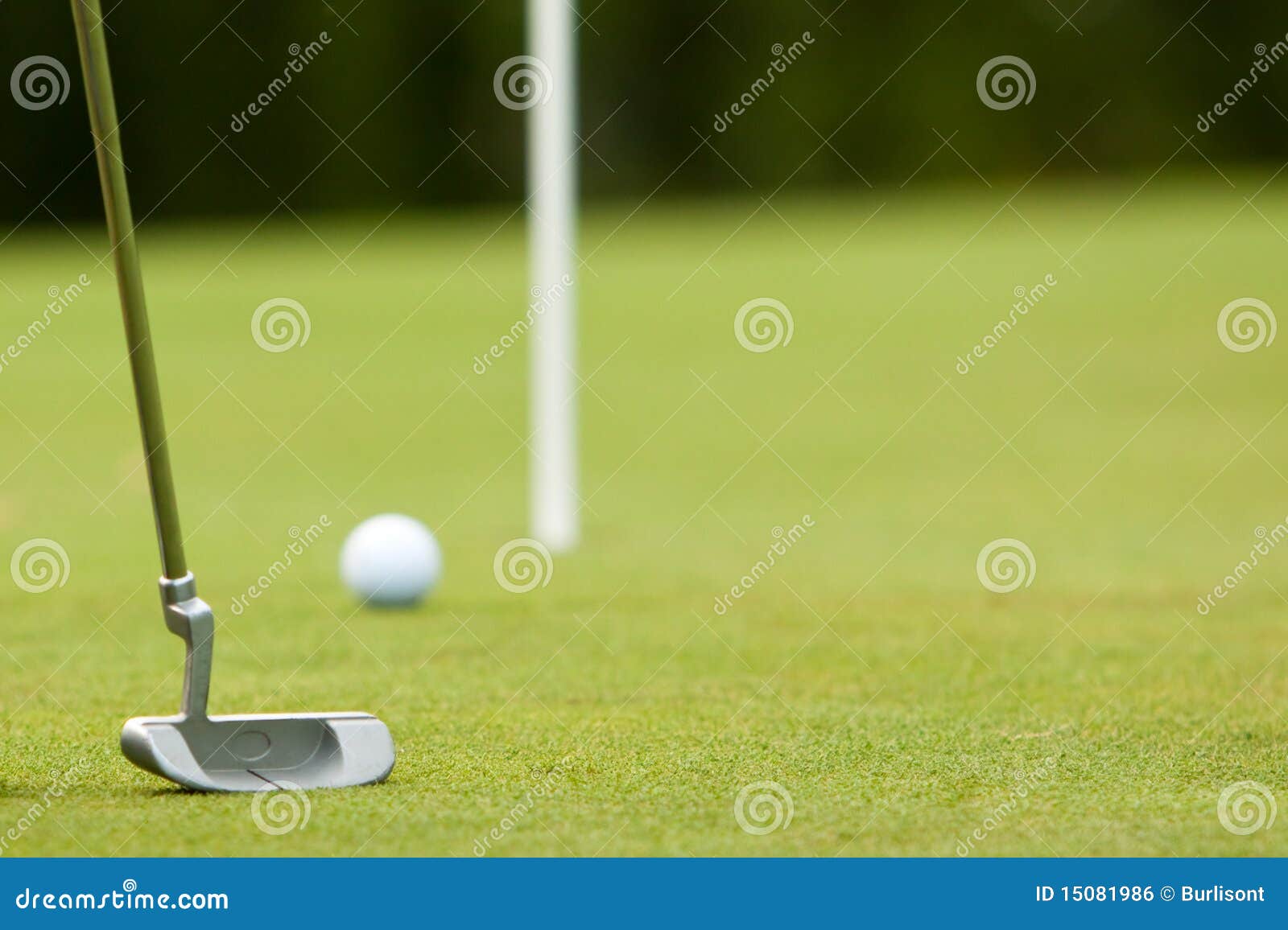 Golf Ball and Putter Near Green and Flag Stock Photo - Image of golfer ...