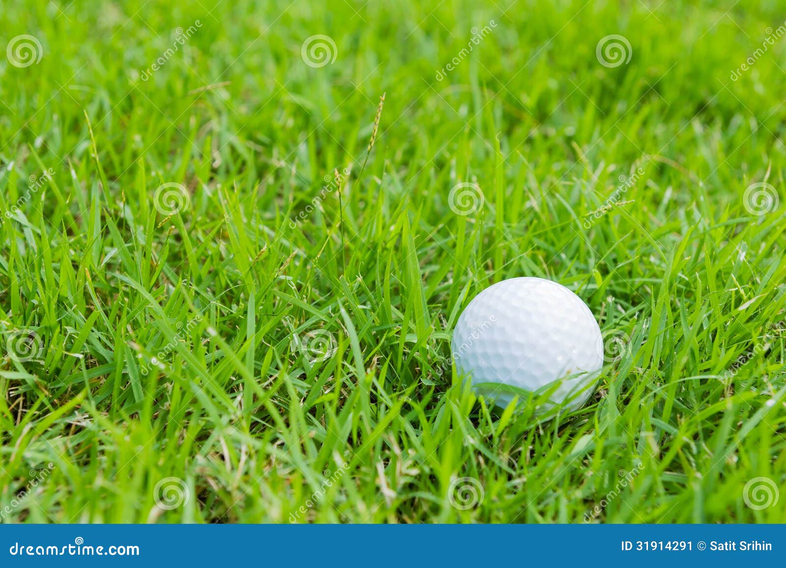 Golf ball stock image. Image of rough, difficulty, challenge - 31914291