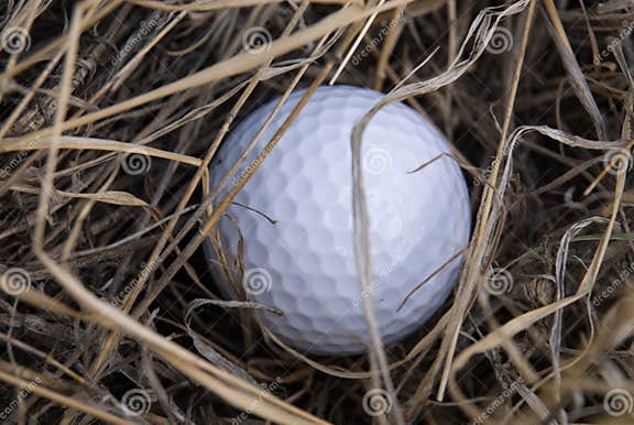 Golf ball in the rough stock image. Image of competition - 858641