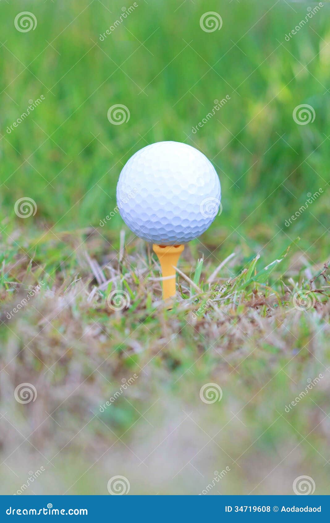 Golf ball on rough stock photo. Image of beautiful, leisure - 34719608