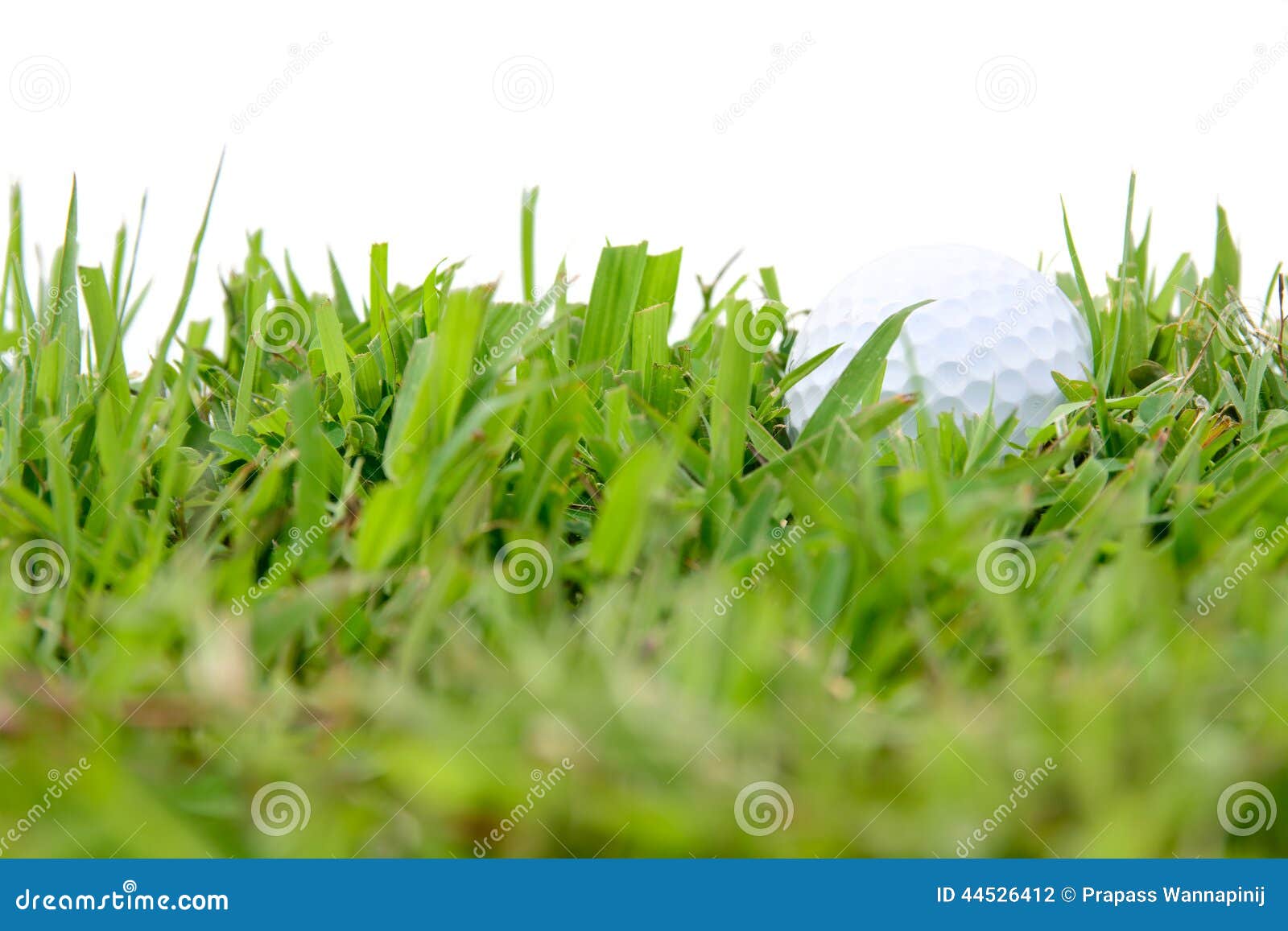 Golf ball in rough grass stock photo. Image of grass - 44526412
