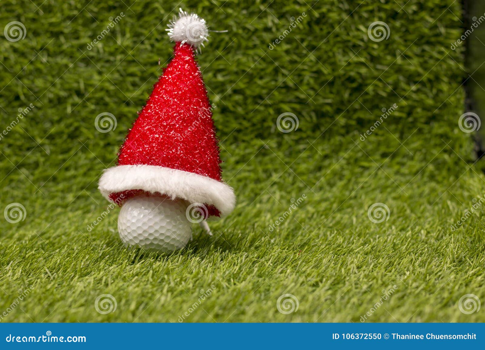 Golf Ball and Santa Hat on Green Grass Stock Photo - Image of ...