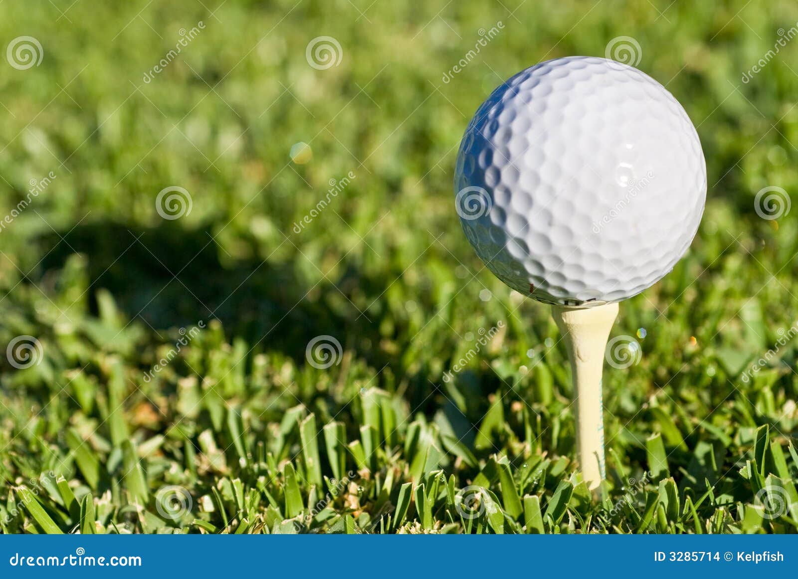 Golf ball shadow stock photo. Image of tree, golf, trap - 3285714